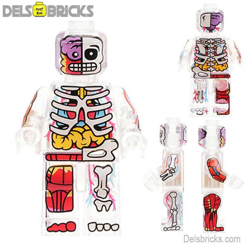 Human Body Transparent (Anatomy) - Custom Building Blocks Mini Figures ...