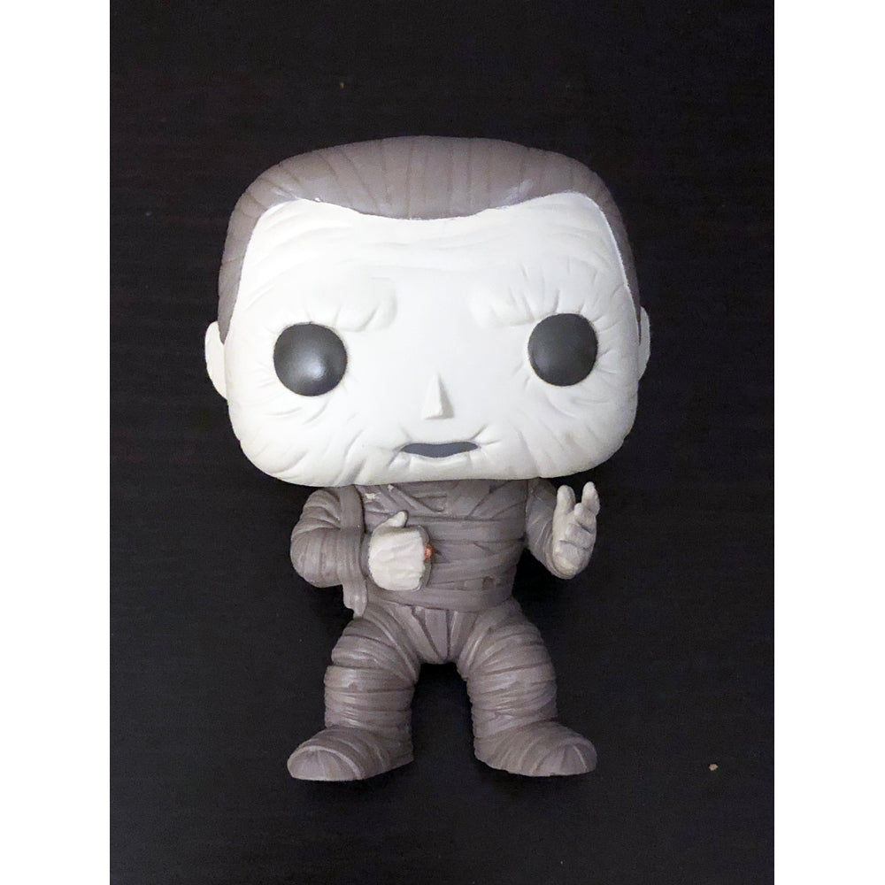 Funko Pop Universal Monsters The Mummy No Box– Display Geek, Inc.